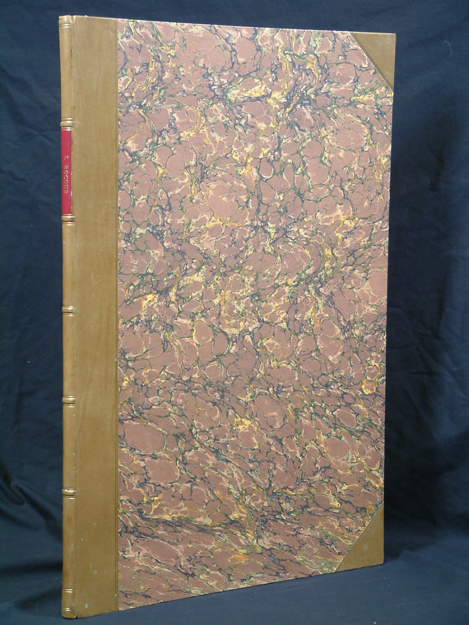 A Topographical Map of the County of Surrey. In Which is Expressed all ...