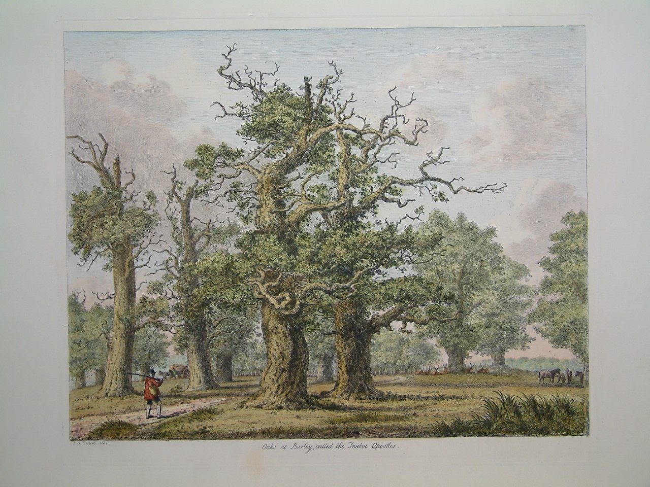 Oaks at Burley decorative print