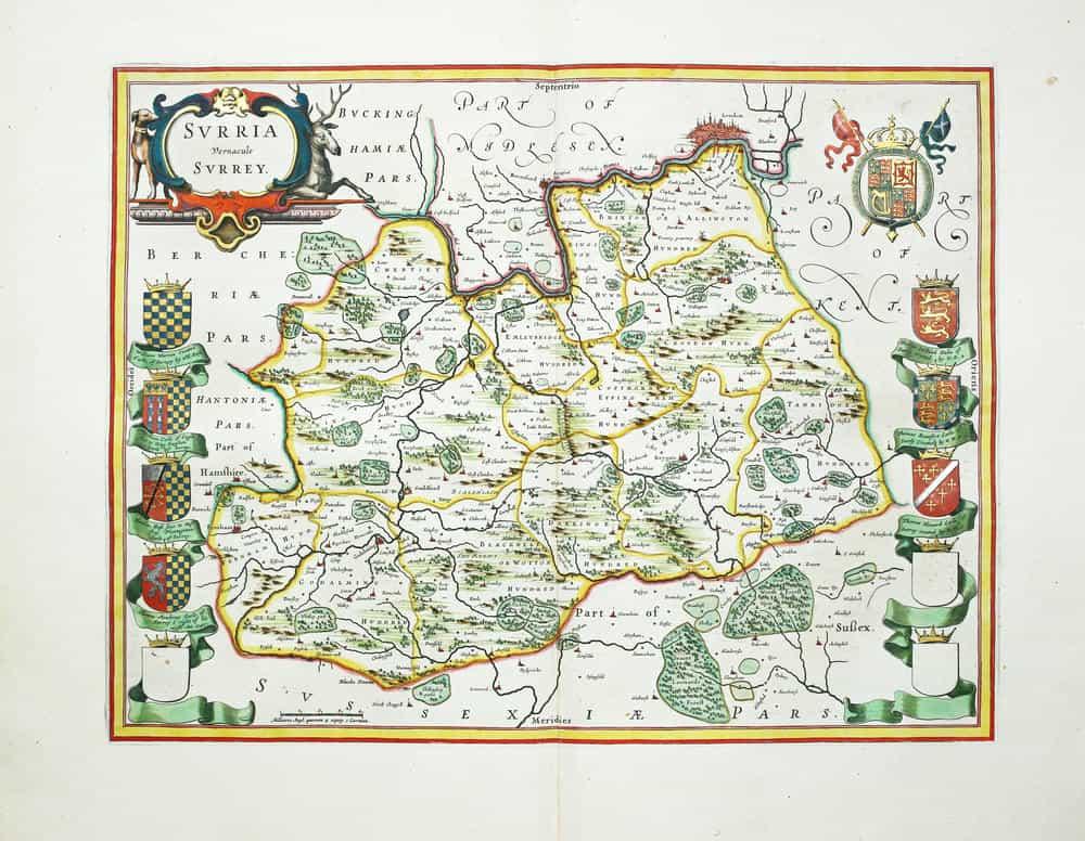 Surria Vernacule Surrey